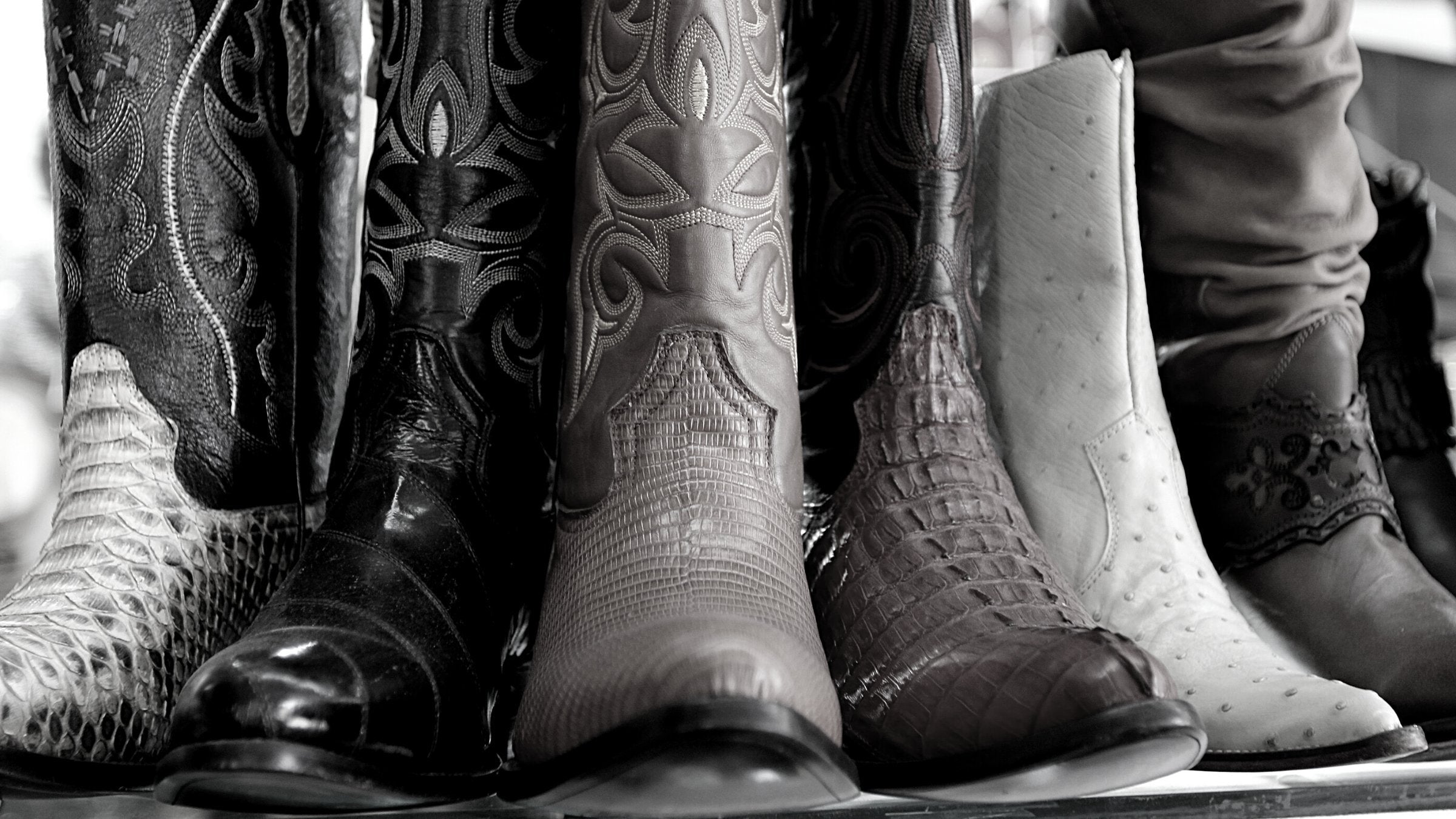 Botas Vaqueras Exóticas para Hombre – Don Max Western